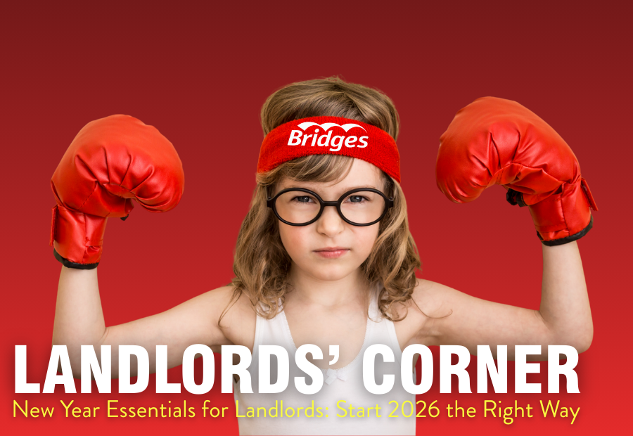 Simple January Tips That Add Real Value to Your Home | Bridges