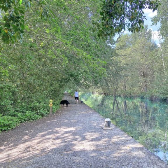 Ash Vale Area Guide: Discover Why It's a Nice Place to Live