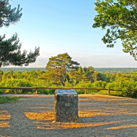 Camberley Area Guide: Explore Why It's a Nice Place to Live