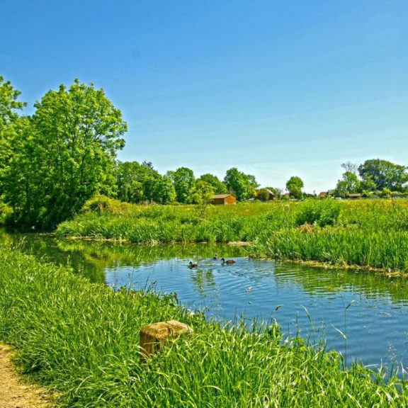 Hook Area Guide: Reasons Why It's a Nice Place to Live